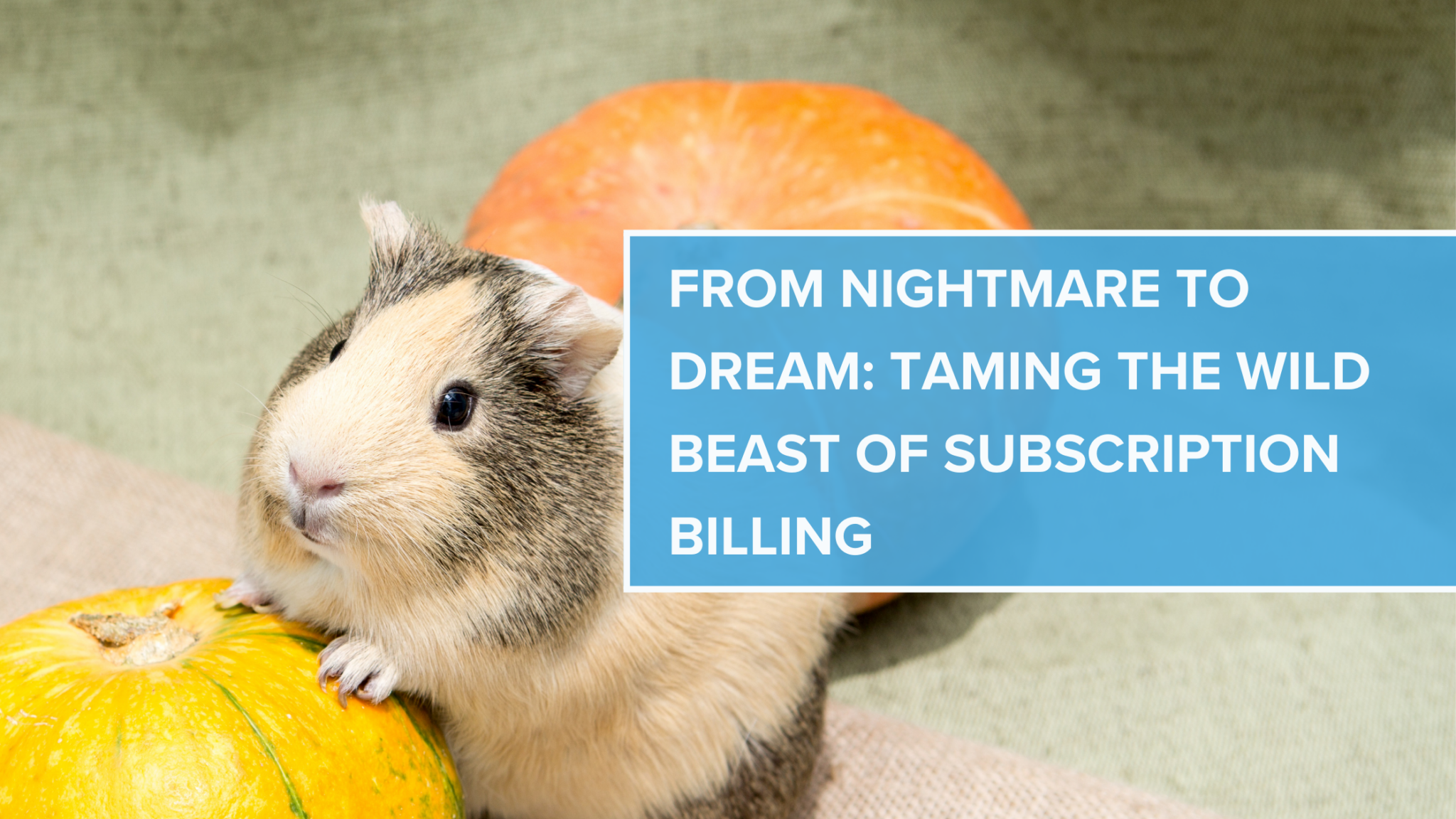 From Nightmare to Dream: Taming the Wild Beast of Subscription Billing ...